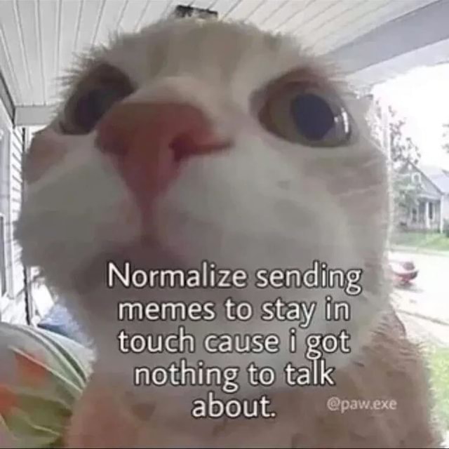Normalize memes to stay touch nothing to talk about. - iFunny